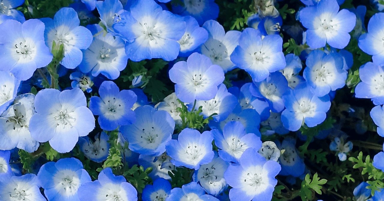 💙 挑戦とキャリア “夢追い記録”とお金の話 note一覧｜恋活のプロ Nanami Gigi