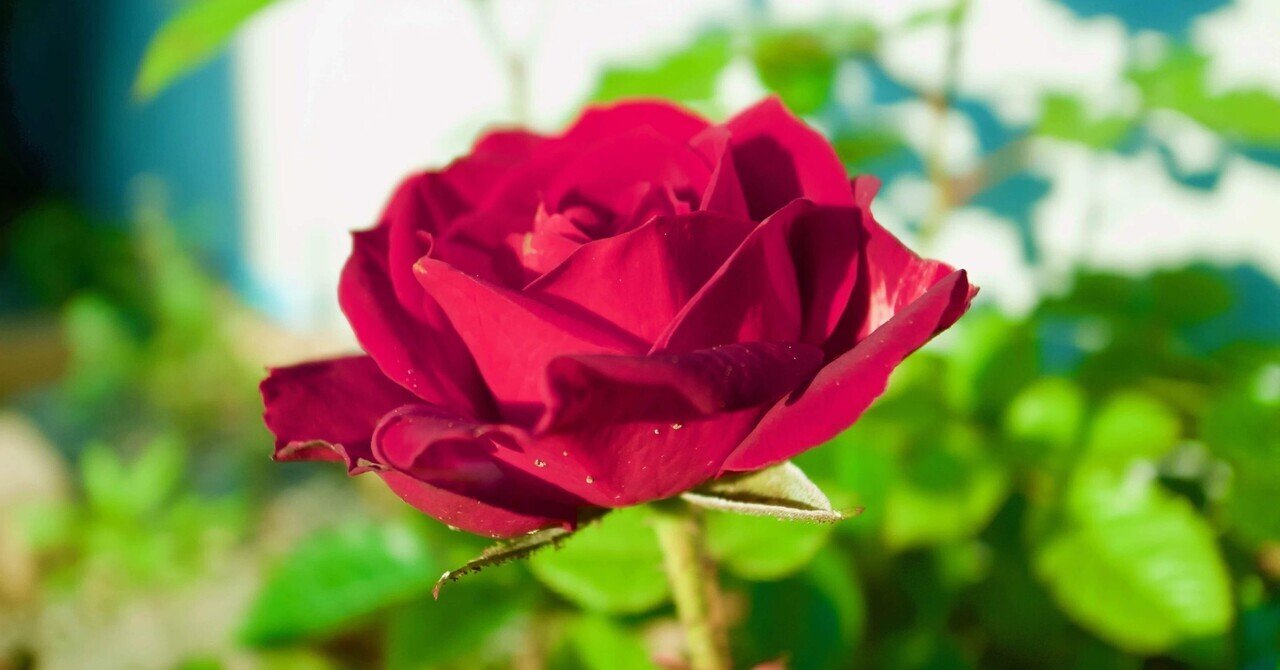 パート開始しました。｜Naoko