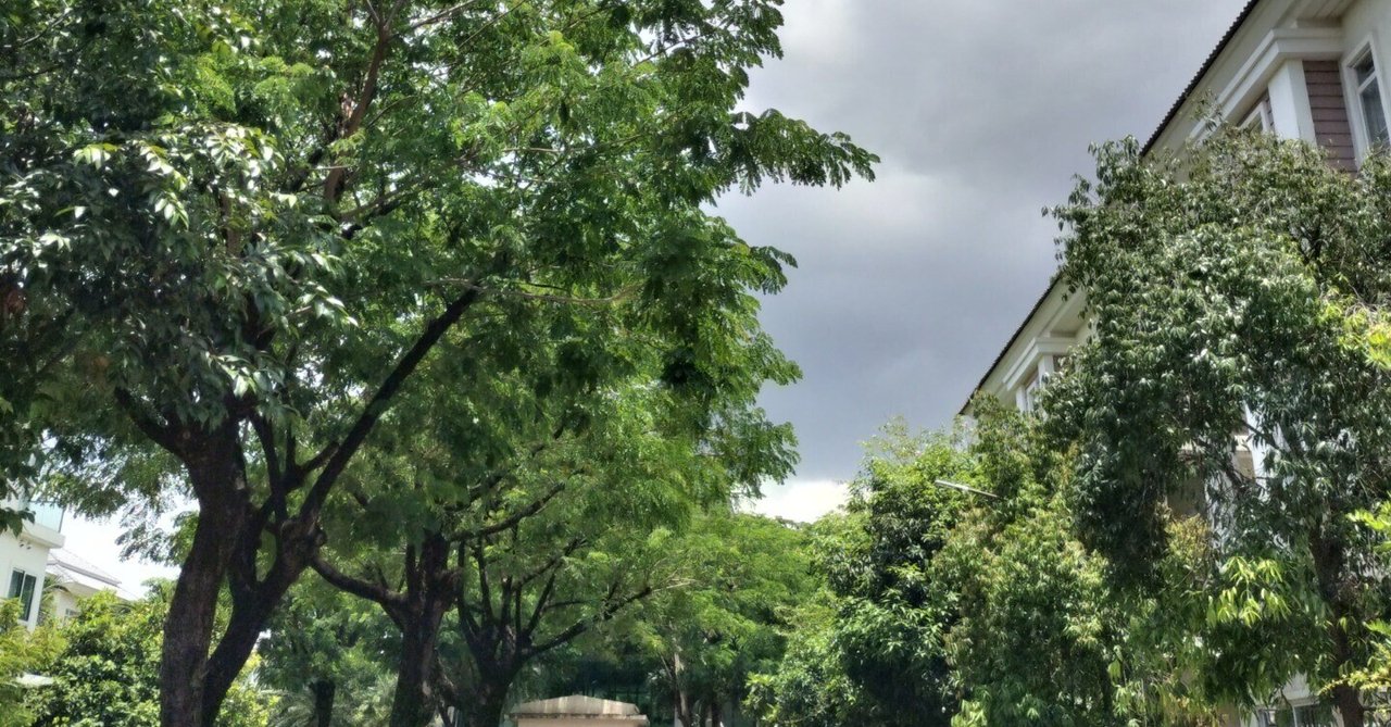 今、思うこと。【カンボジア滞在45週目】｜伊藤哲矢｜Tetsuya Ito