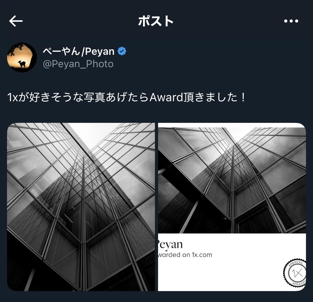 【初心者向け】世界最高峰写真サイト「1x」でAwardをとる方法｜ぺーやん/Peyan