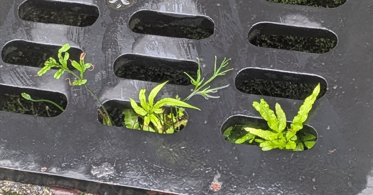 ある試みを始めてみた #18｜ichiro70