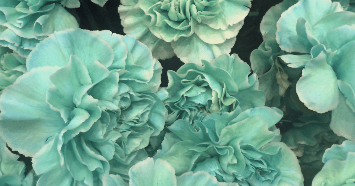 雨の日に思う｜sikuramen