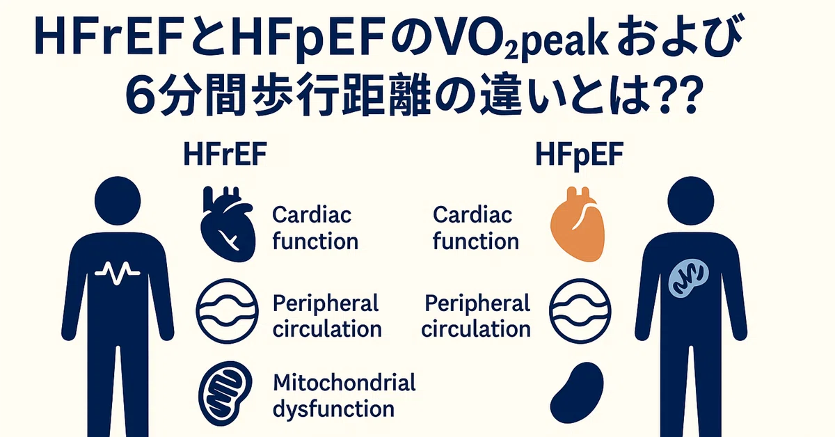 臨床5年目までに押さえておきたい、「HFrEFとHFpEFのVO₂peakおよび6分間歩行距離の違い」｜Hitoshi & KZFM