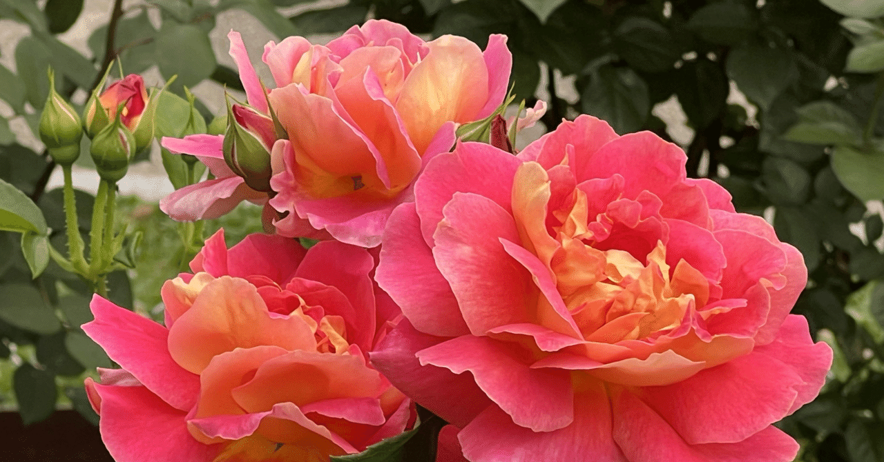 アドビクリエイティブカレッジ第8期Photoshop実践バナー篇｜Ashworks