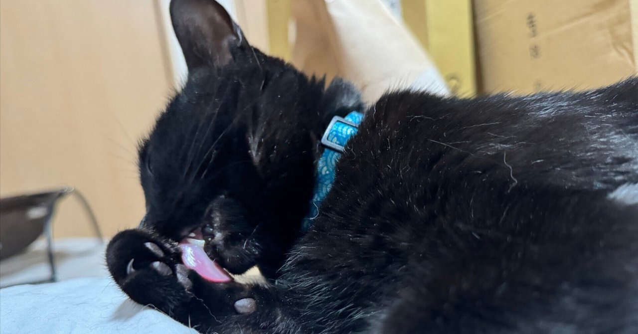 ミャウミャウ (MiawMiaw) カリカリ 小粒 270g かつお味 キャットフード｜つなくろ