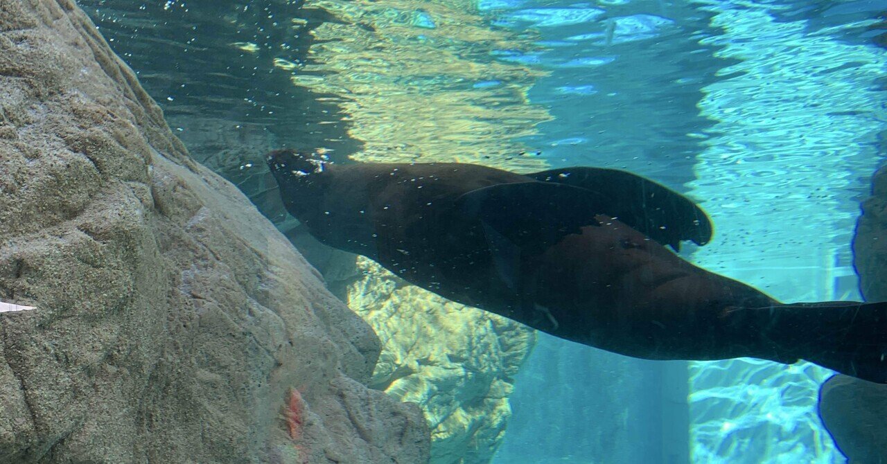 性別の悩み×HSS型HSP気質｜Ryo