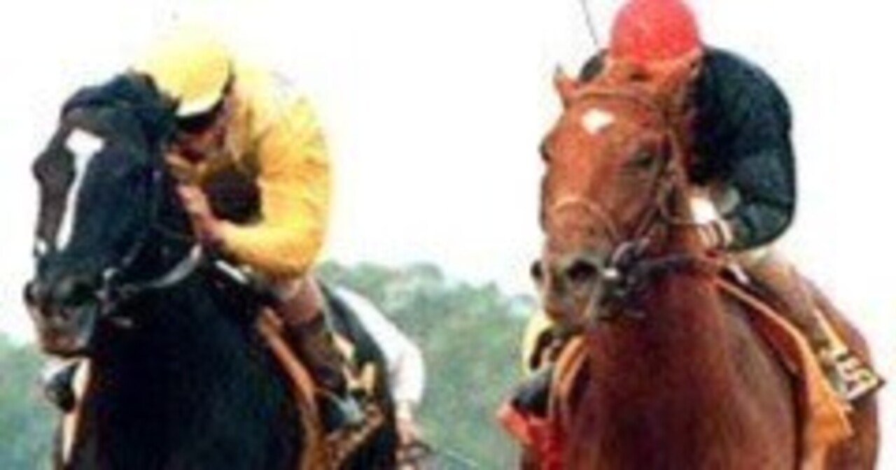 ODDSから導く穴馬/オークスの結果｜Easy Goer