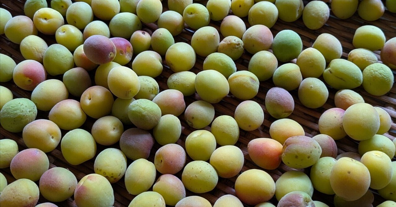 5/25日常の風景日記｜mayamoon