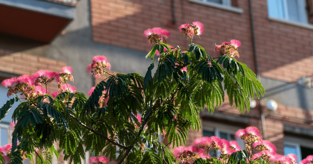 🤍「“追いかけすぎる恋”を手放せた理由」｜恋活のプロ Nanami Gigi