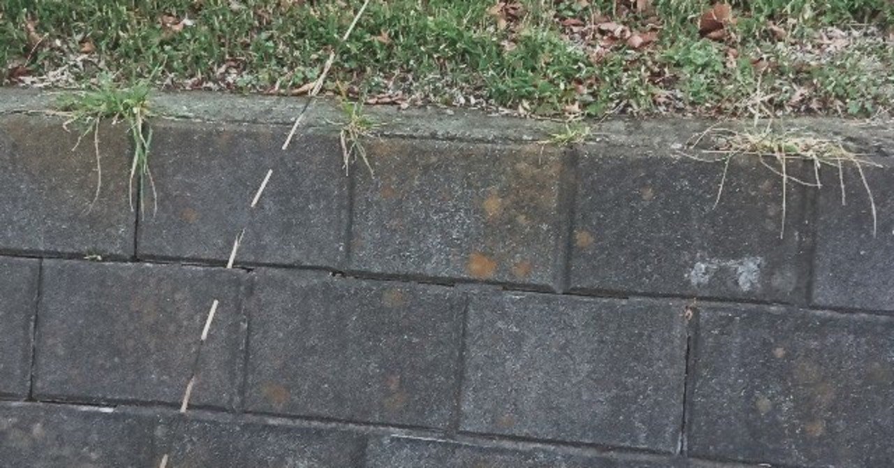 - 2020/2/12｜Shohei Doi｜note