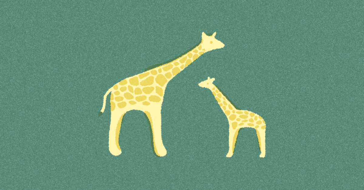 募㉚ごく。タロ。まろ。｜goku