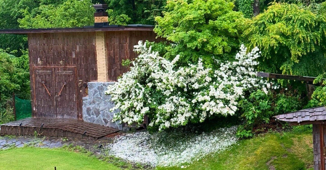 ボクは魔女⁉︎｜Dan Takuma