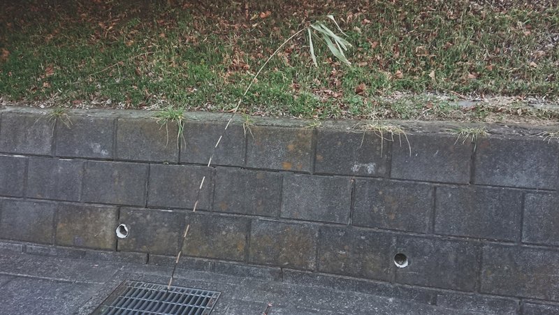 - 2020/2/12｜Shohei Doi｜note