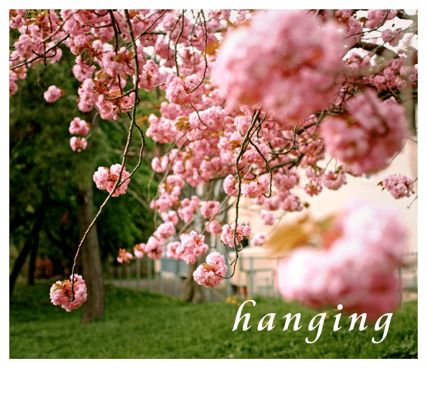 写真の言語化シリーズ24｜Junn Kaga