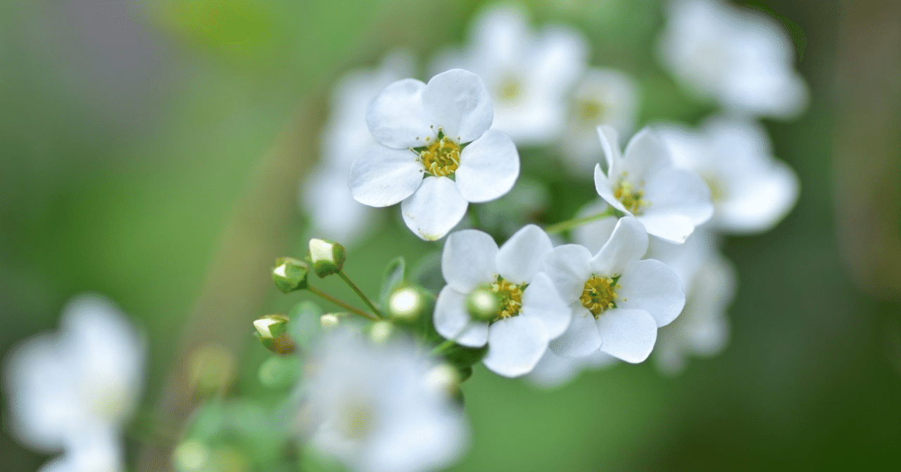 連続小説【私の取材記・1】｜T.Koji