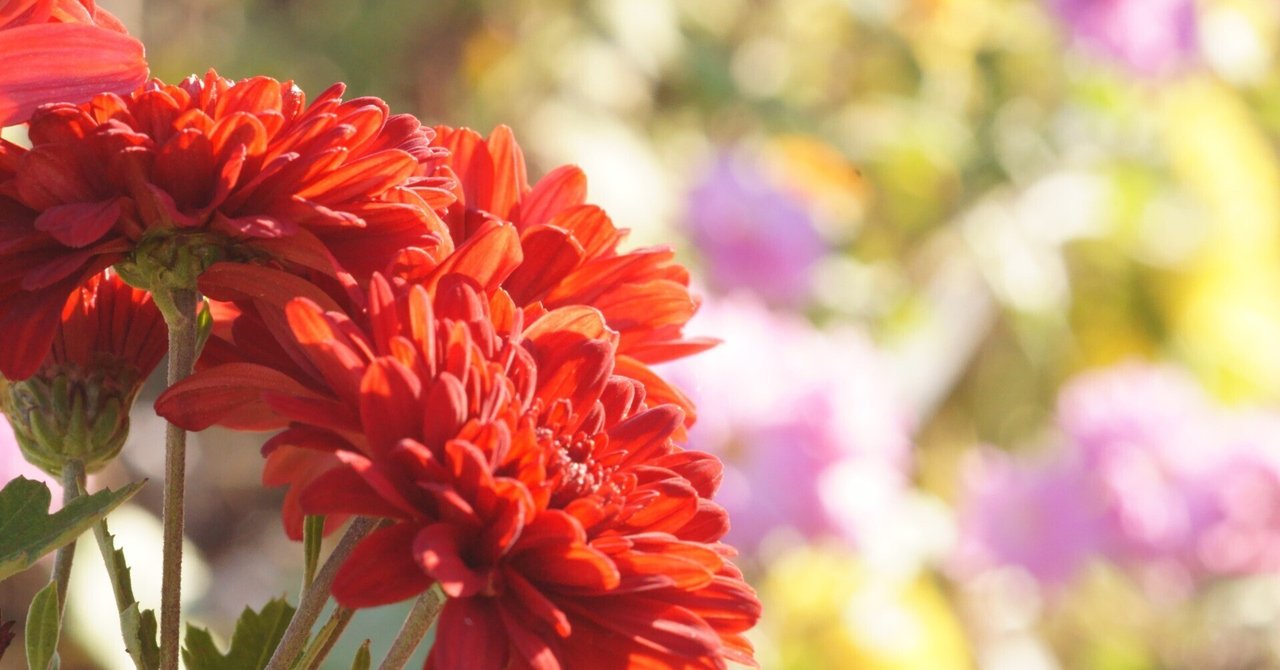 修士論文の応用。どんな人も、他人を見るときに独自の「ものさし」を持っています。婚活編 男女のものさし。｜Yukihiro S