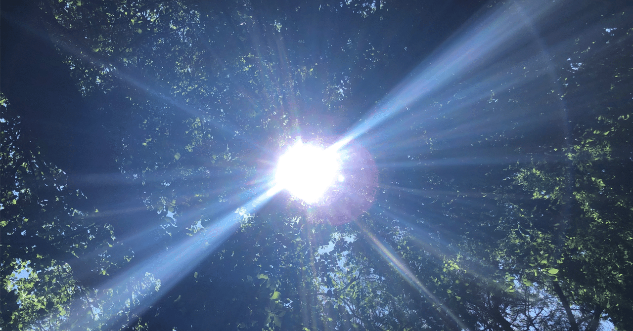 私が求めていたものは｜Torico