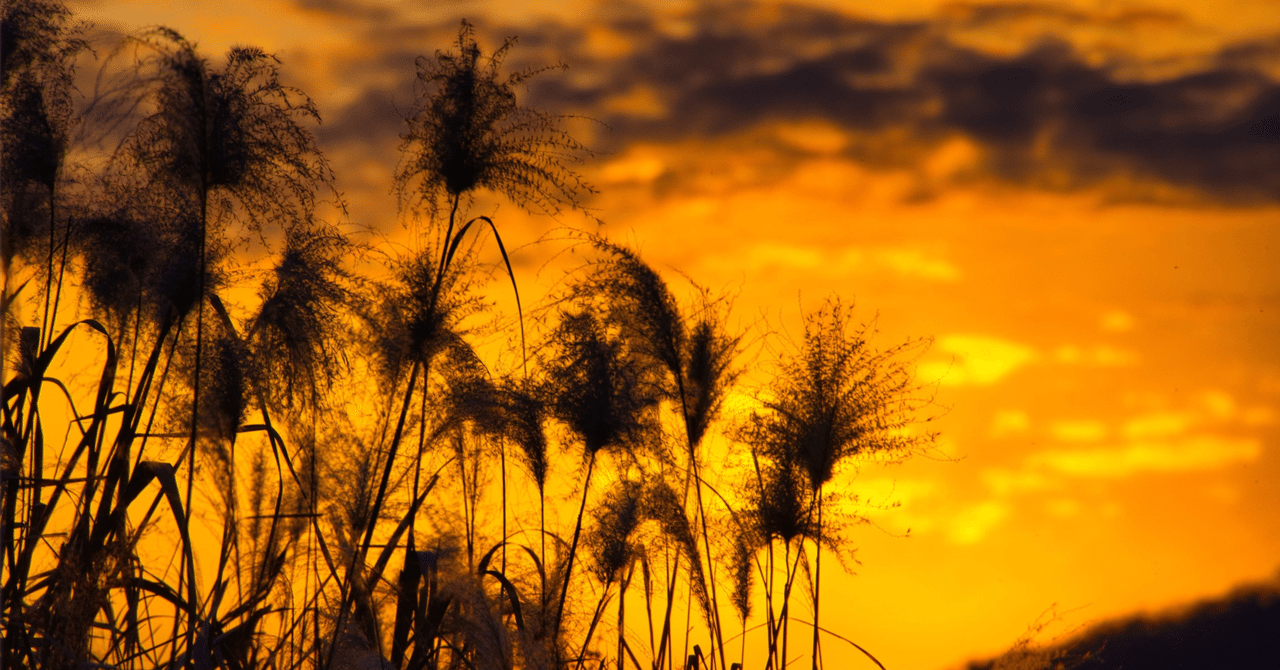 Drinking - bôa(UK) 和訳｜ミント