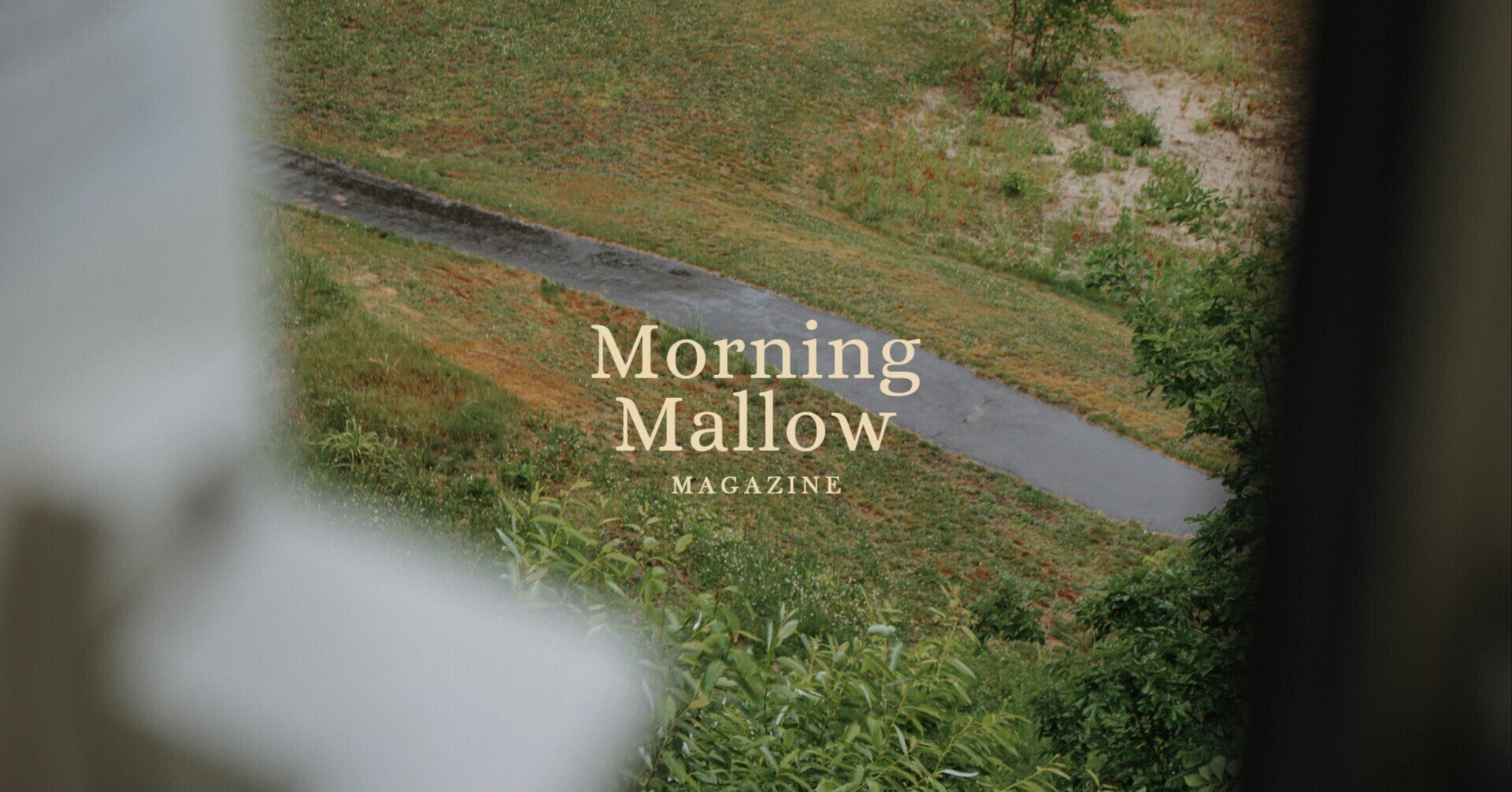 Morning Mallow｜note