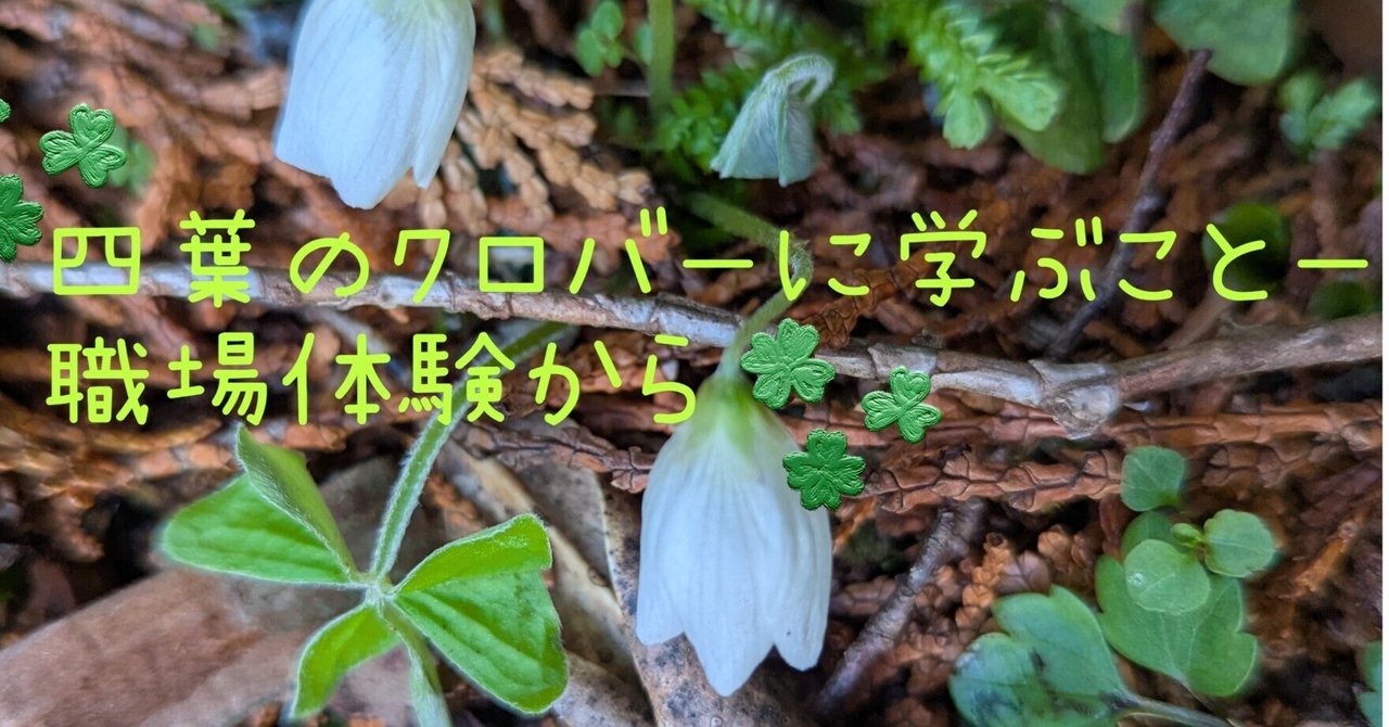 四葉のクロバーから学ぶこと｜riko