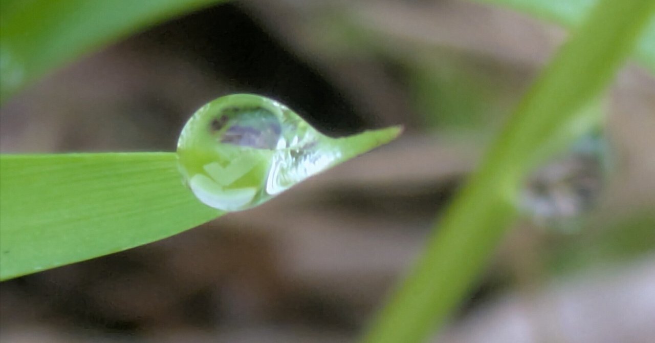 水滴美術館〜クリア｜ichiro70