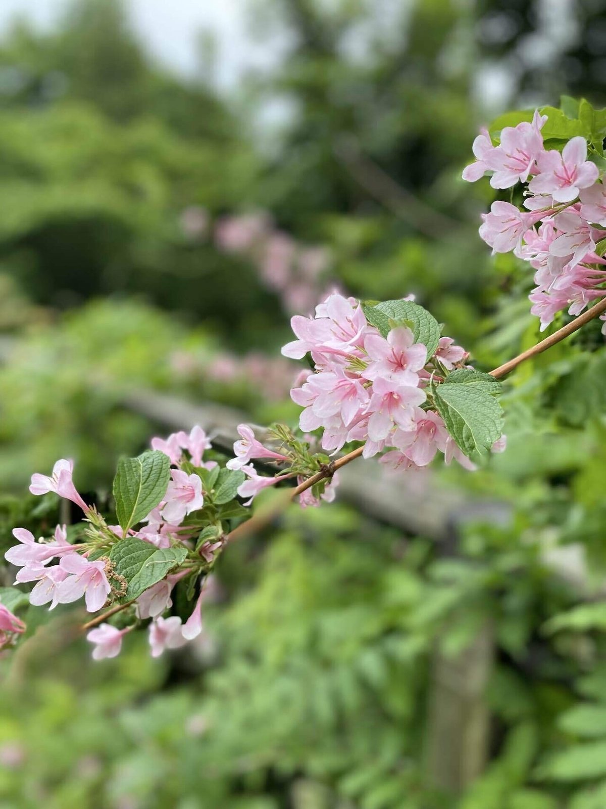 今日から｜MOTOI MICHIKO
