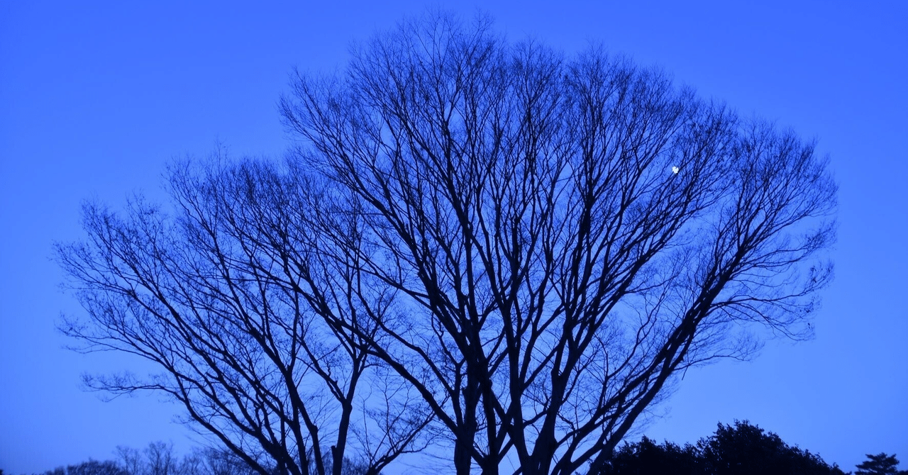 生命の進化を逆走？｜安島 孝知（ajima, takatomo）