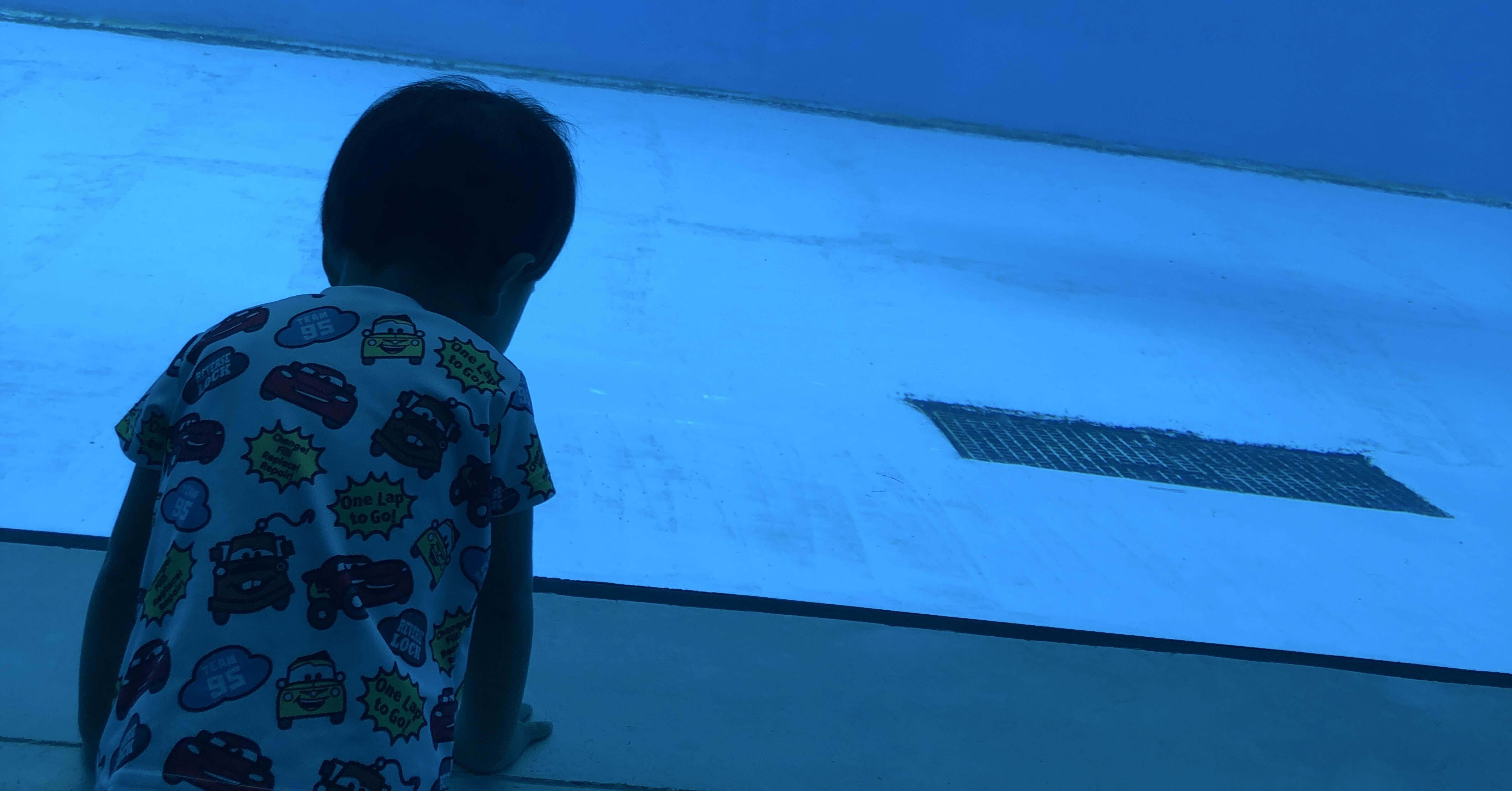 2児のママ hal｜note