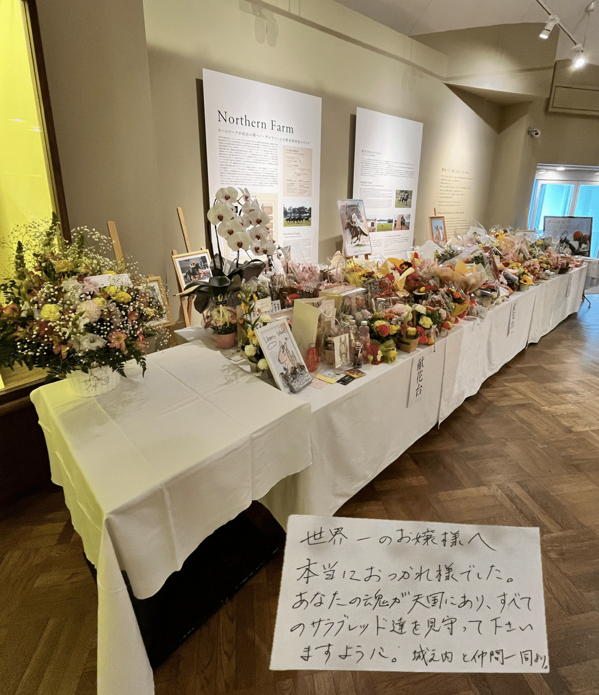 馬旅レポート③｜→AKIRARIKA←