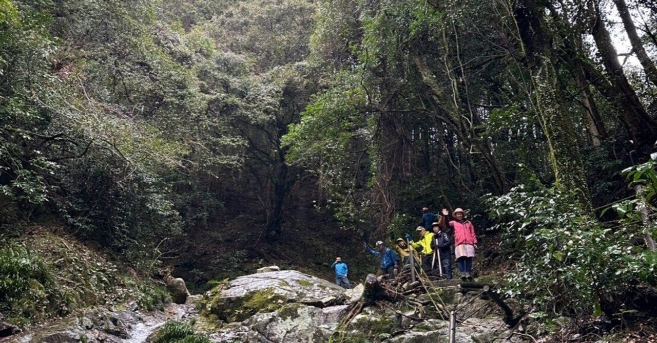 第7回：植林という祈り──次の百年の風景を育てる｜Ayako Oishi 山暮らしフリーデザイナー