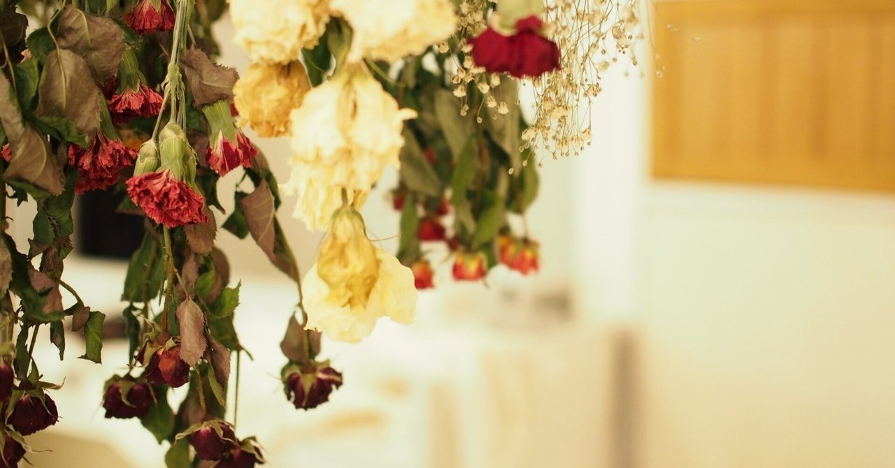 勝手に贈る歌 vol.71 ゆきへ｜Manami Kawakami