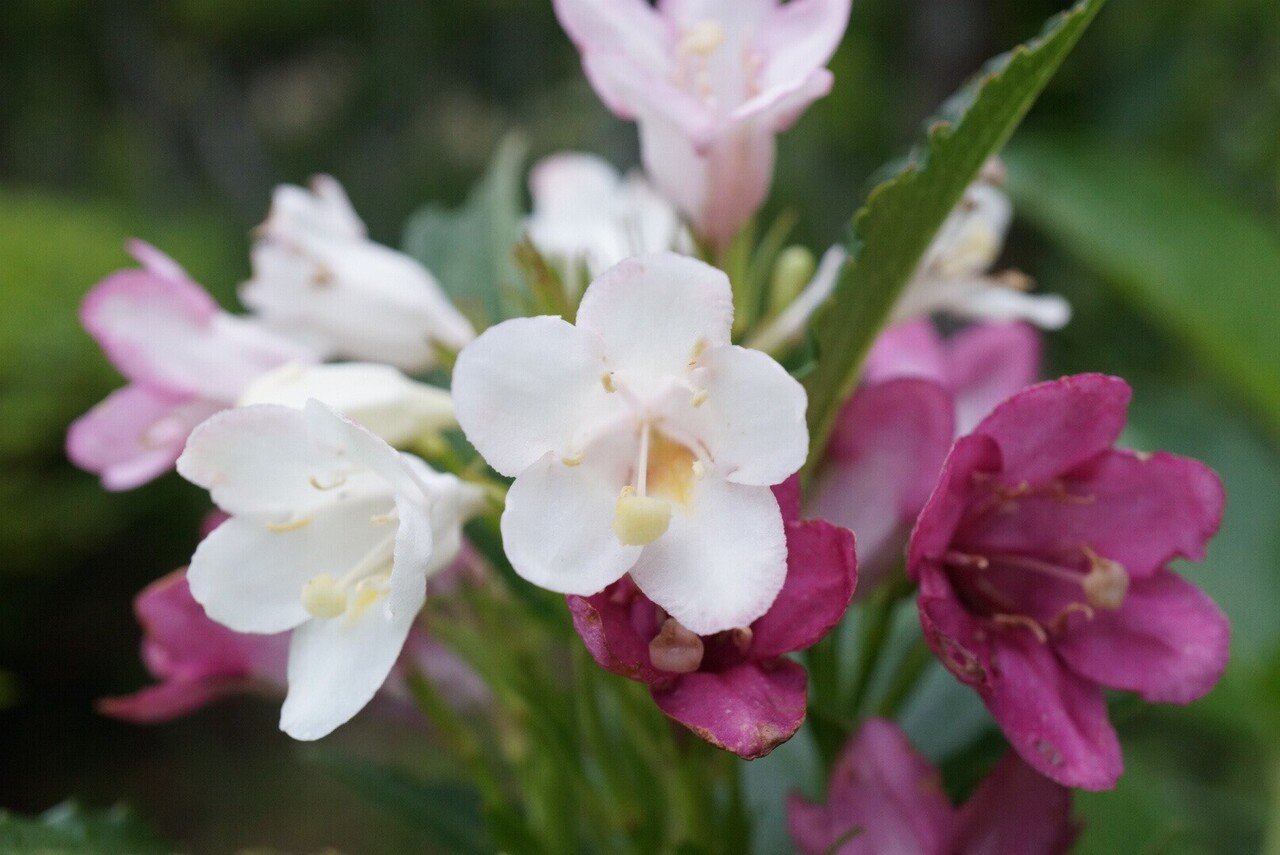 ページタイトル用｜MITSUDA Tetsuo