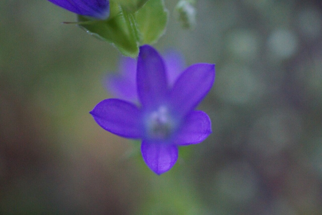 ページタイトル用｜MITSUDA Tetsuo