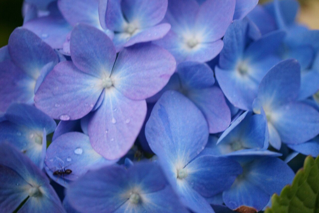 ページタイトル用｜MITSUDA Tetsuo