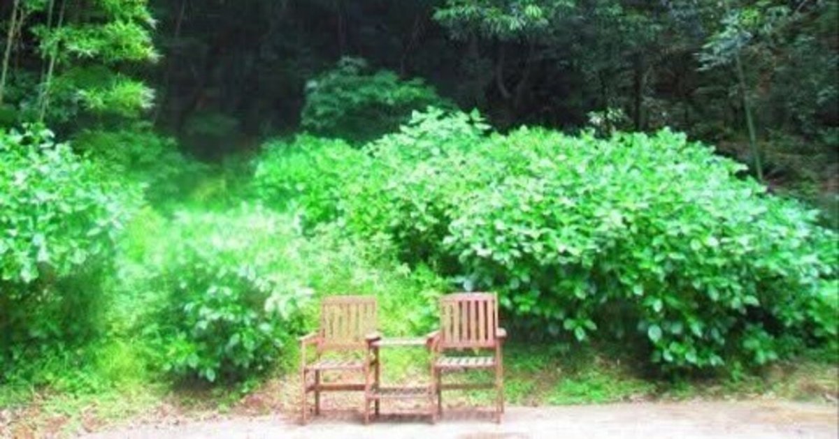 【皐月の天】｜七色アガサnanairo_agasa