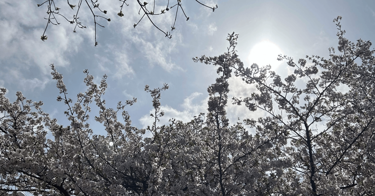 大変な仕事ほど人手が必要。｜Rumi Kusunoki