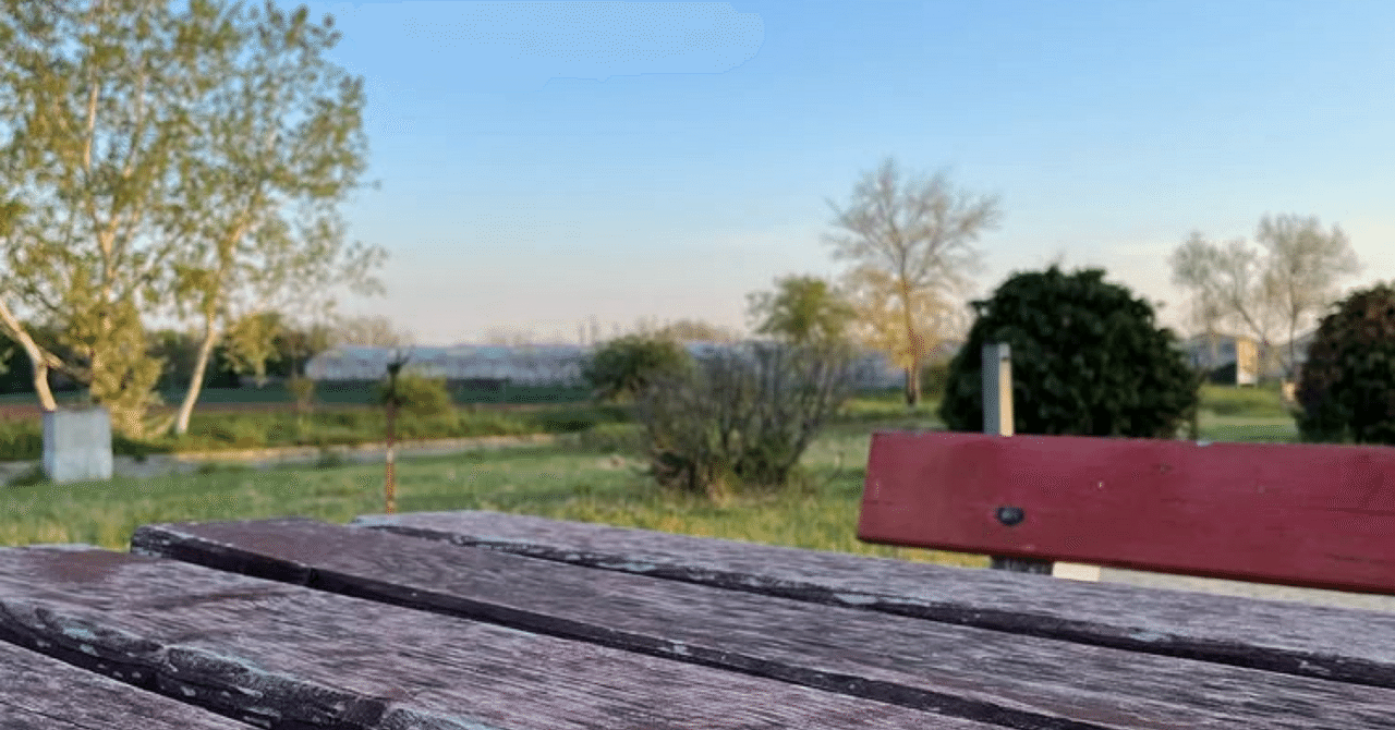 いきなり英語で話しかけてない？その前にできる“やさしい配慮”｜liyin_eigo