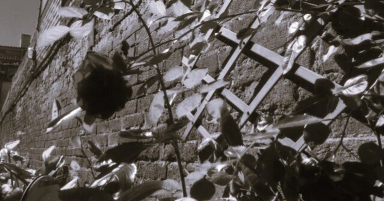 路傍の花｜keisuke Ando