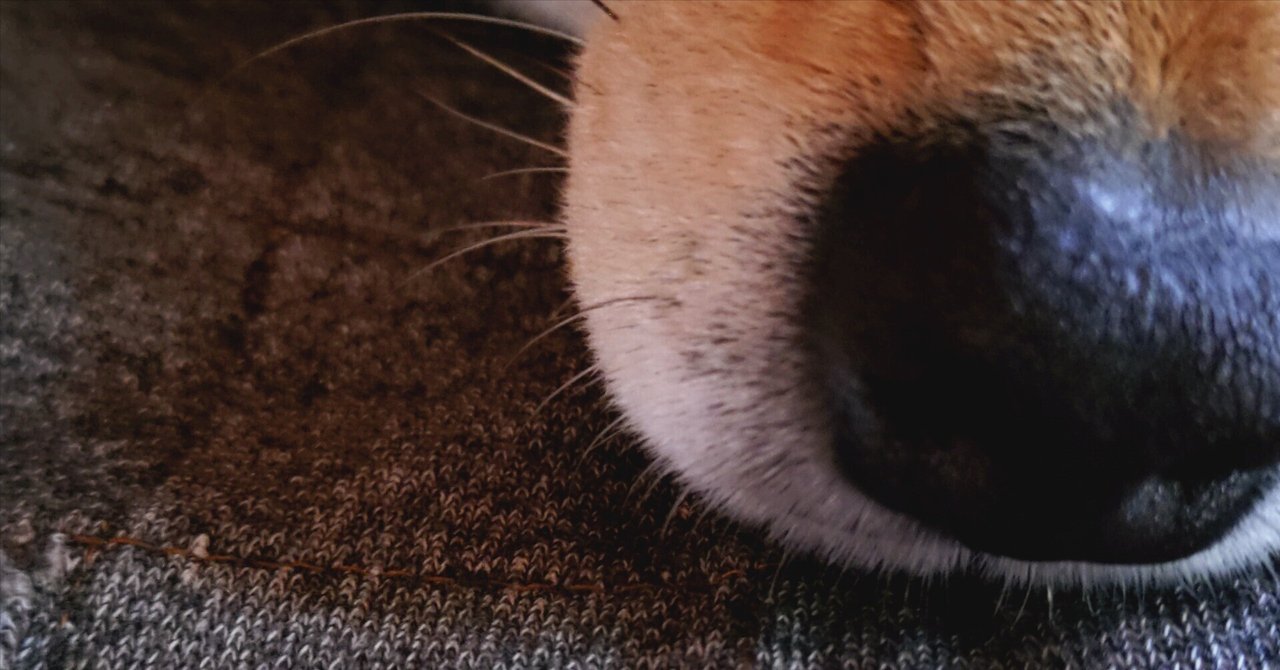 2月27日(木) やる気スイッチ｜furuko