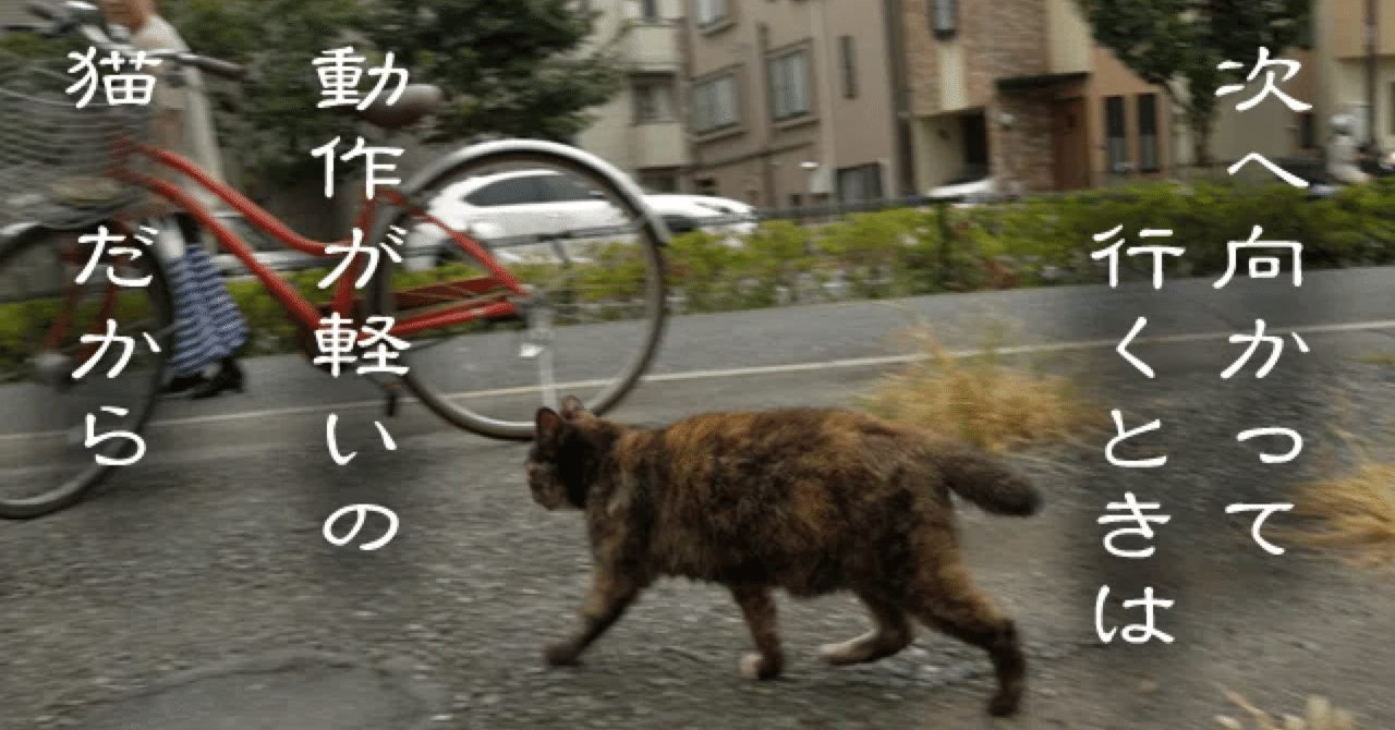 モンハンワイルズに豪鬼参戦！｜unitason