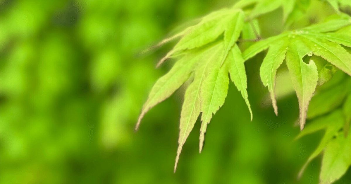 連続小説【私の取材記・2】｜T.Koji