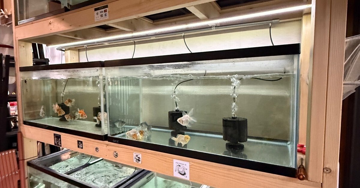 SAMURAI FARMスタッフ増えました｜SAMURAI FARM