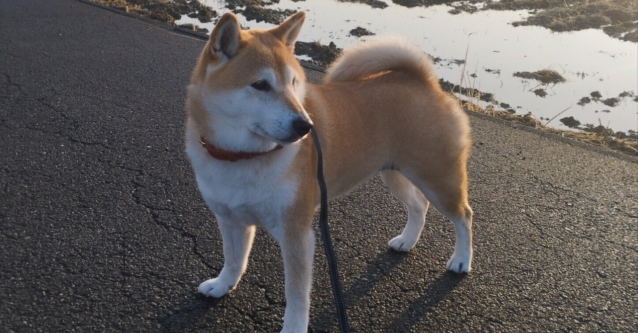 寒暖差アレルギー コロナウイルス 感染症 ｜ichi_coco