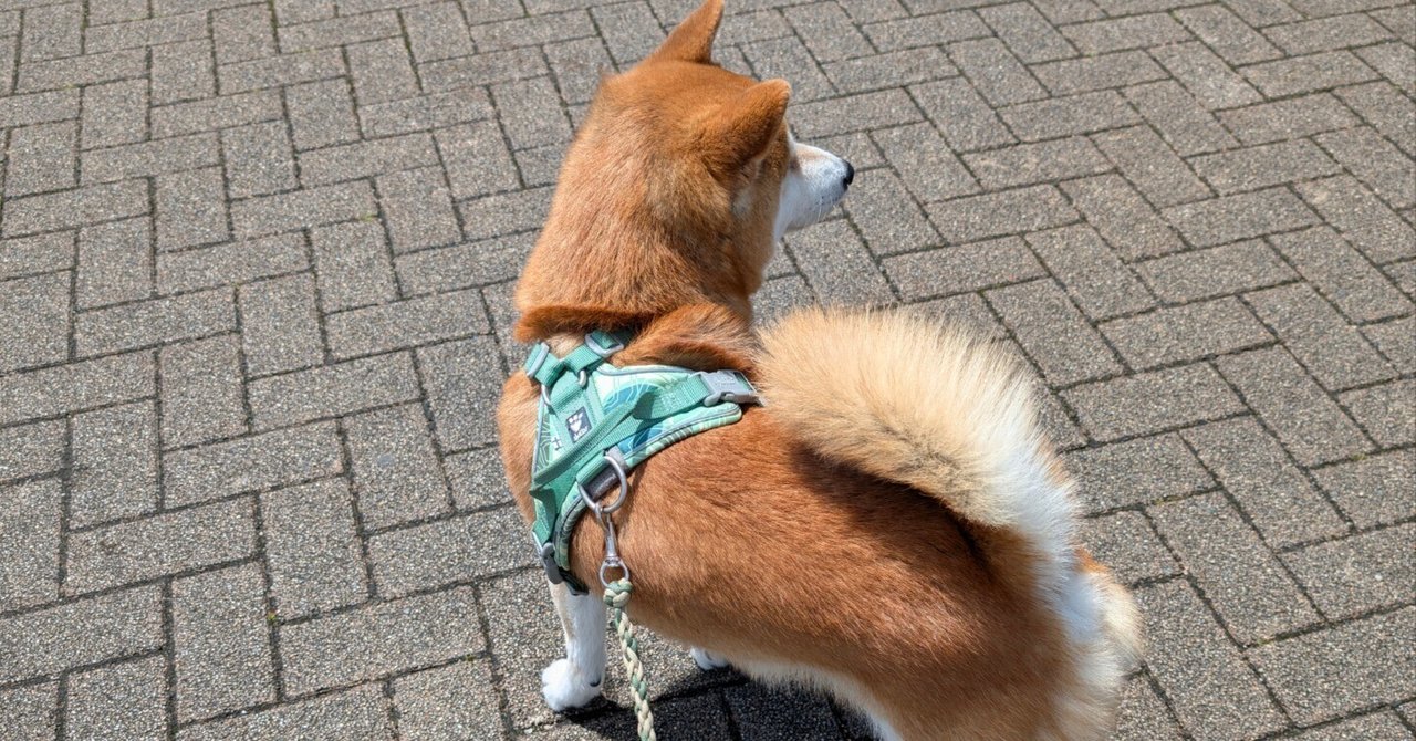 トイレ休憩！｜Akihiko Oosugi