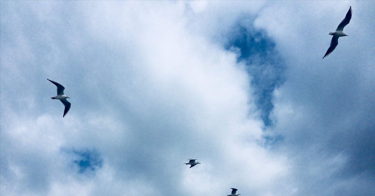 自己紹介｜shiro