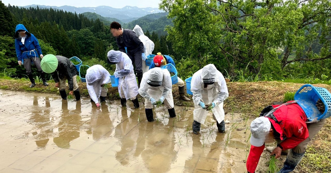 【はじめまして】 自己紹介 田植え🌱＠布川（新潟県十日町市松之山布川地区）｜実践女子大学 地域・生活文化ゼミ(須賀ゼミ)