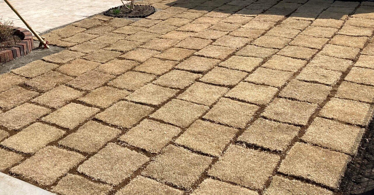 TM9芝生張りの失敗点｜さぁみ