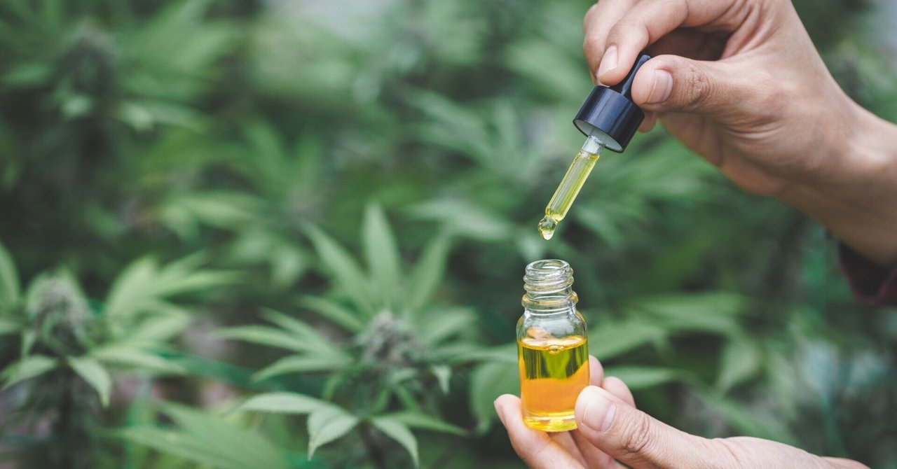 【現地在住10年】カナダと日本のCBD事情を3つの視点で徹底比較｜Yuma Otsu