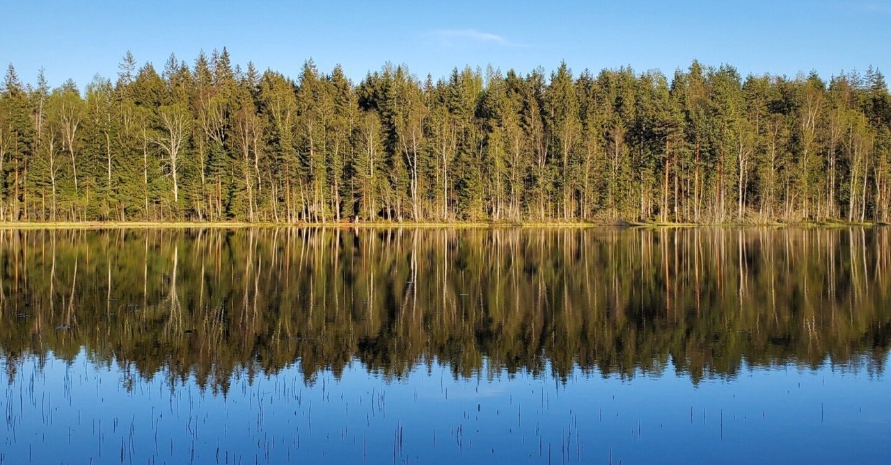 2025年5月 ふりかえり｜Matti