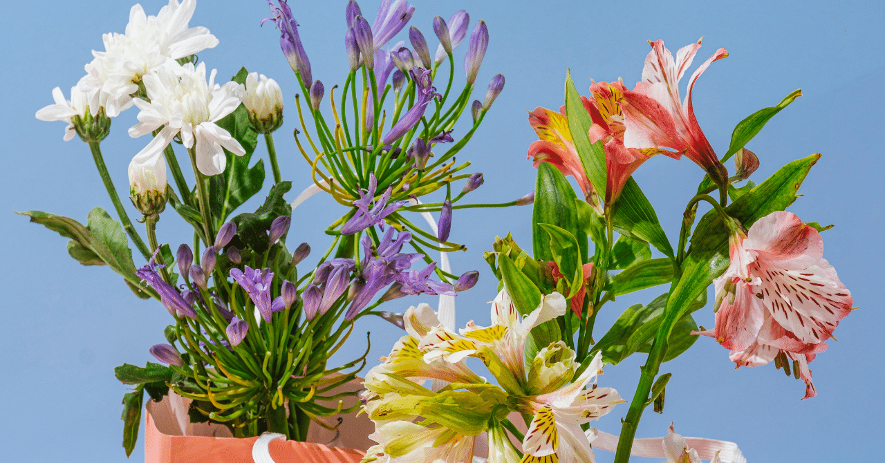 無職ってなにしてんの｜mayuko